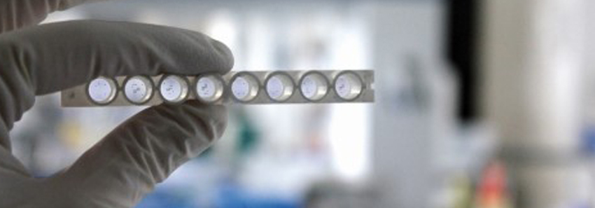 TestLine Microblot Array