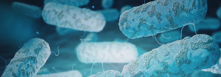 Legionella rapid test for water | Legionella rapid PCR Oxford Biosystems